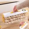 Dasdffvf Dumplings Box Dumplings Storage Box Refrigerator Dumpling ...